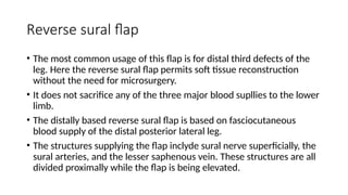 distally based sural artery flap for reconstruction of lower limb flap ...
