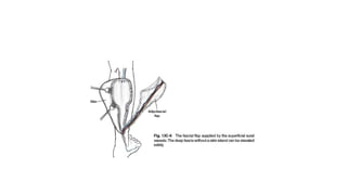 distally based sural artery flap for reconstruction of lower limb flap ...