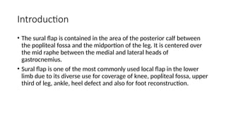 distally based sural artery flap for reconstruction of lower limb flap ...