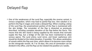 distally based sural artery flap for reconstruction of lower limb flap ...