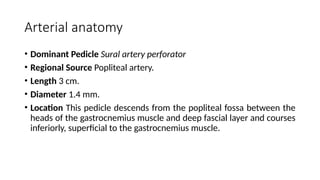 distally based sural artery flap for reconstruction of lower limb flap ...