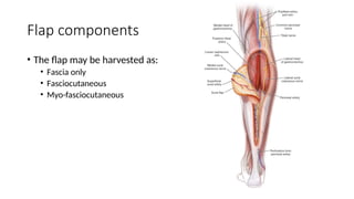 distally based sural artery flap for reconstruction of lower limb flap ...
