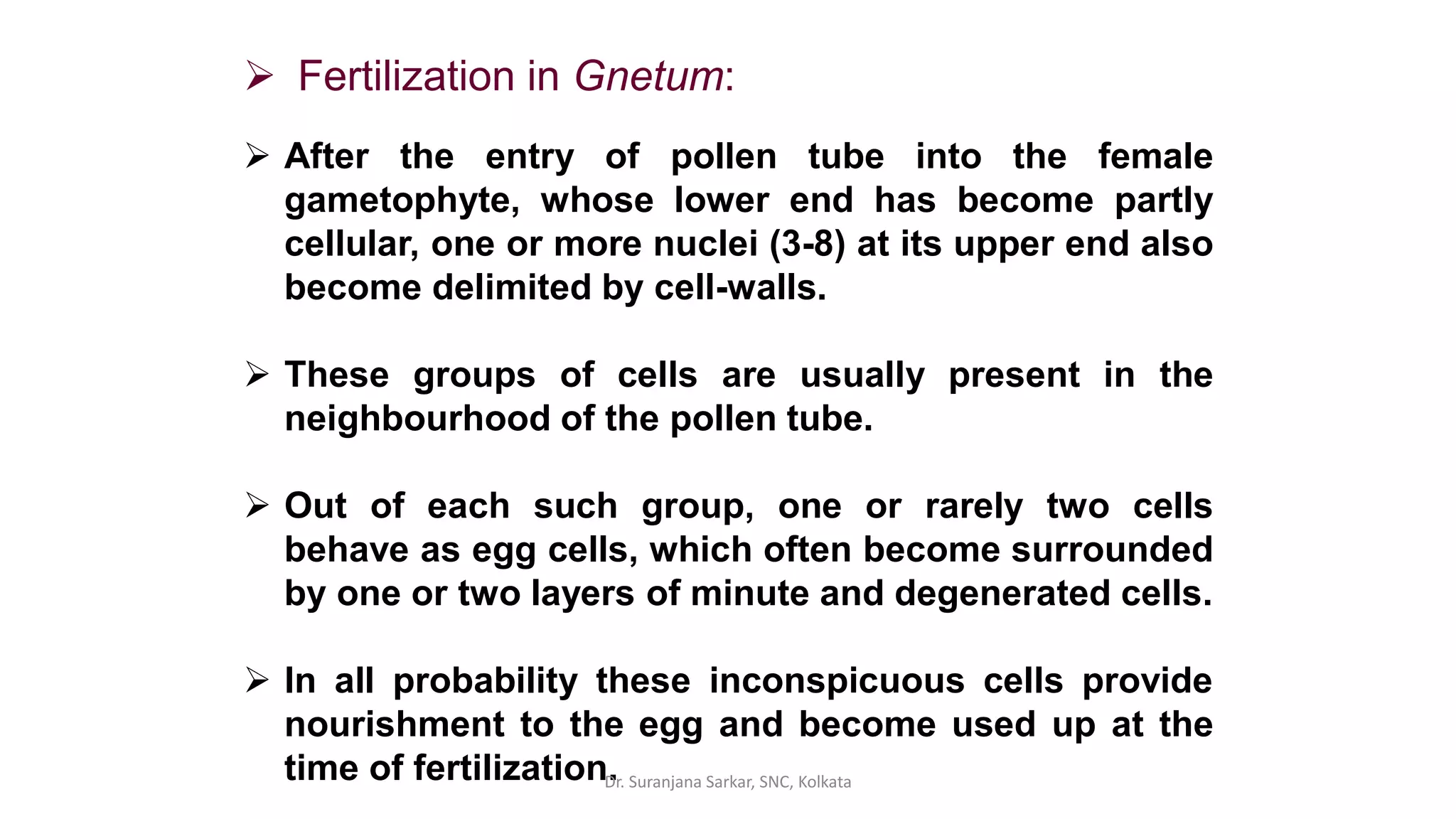 Gnetum Reproduction2020-04-25Gnetum Sem 2H part 2.pdf | Infertility ...