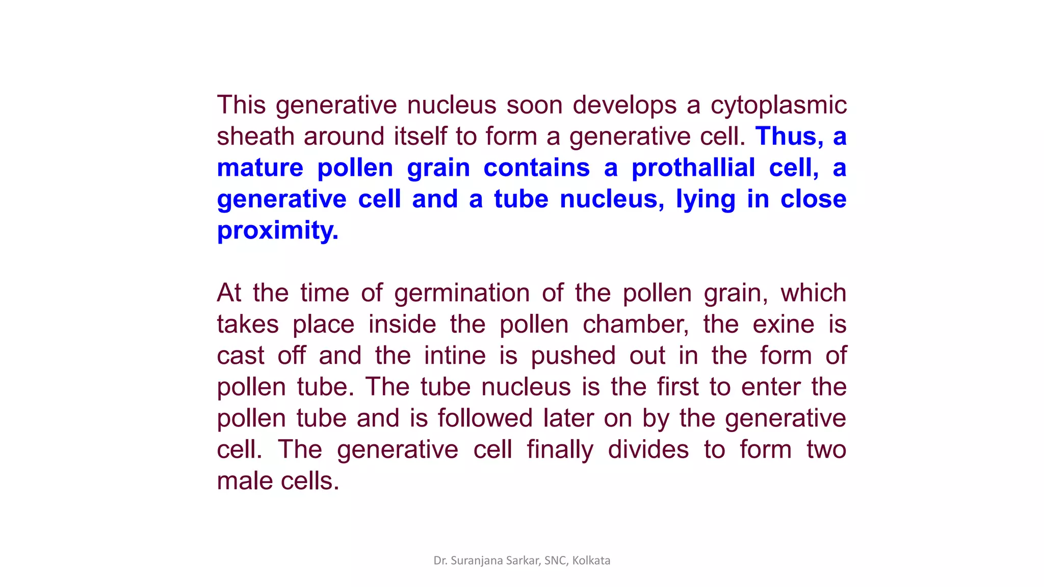 Gnetum Reproduction2020-04-25Gnetum Sem 2H part 2.pdf | Infertility ...