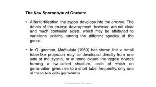 Gnetum Reproduction2020-04-25Gnetum Sem 2H part 2.pdf | Infertility ...