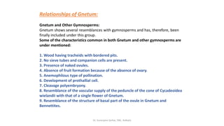 Gnetum Reproduction2020-04-25Gnetum Sem 2H part 2.pdf | Infertility ...