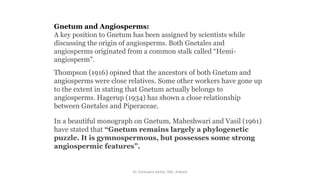Gnetum Reproduction2020-04-25Gnetum Sem 2H part 2.pdf | Infertility ...