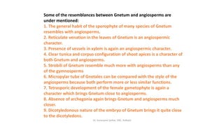 Gnetum Reproduction2020-04-25Gnetum Sem 2H part 2.pdf | Infertility ...