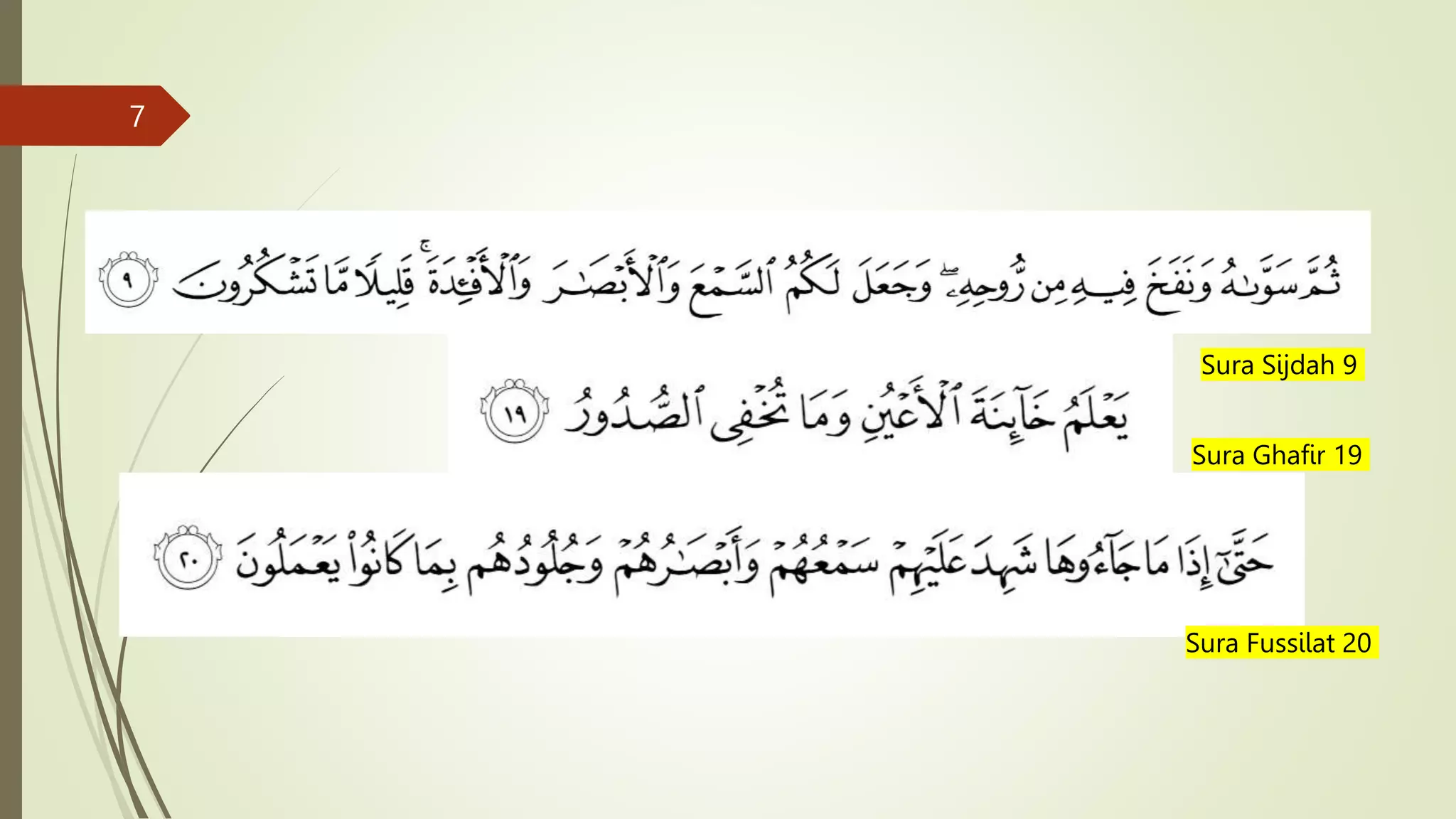 Sura Noor lowering gaze.pptx