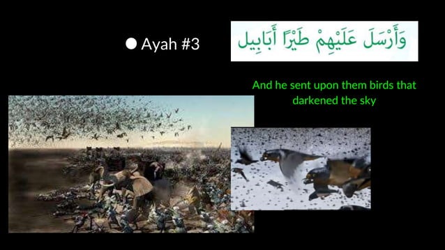 Surat Al-Feel | PPTX | Islam | Religion & Spirituality
