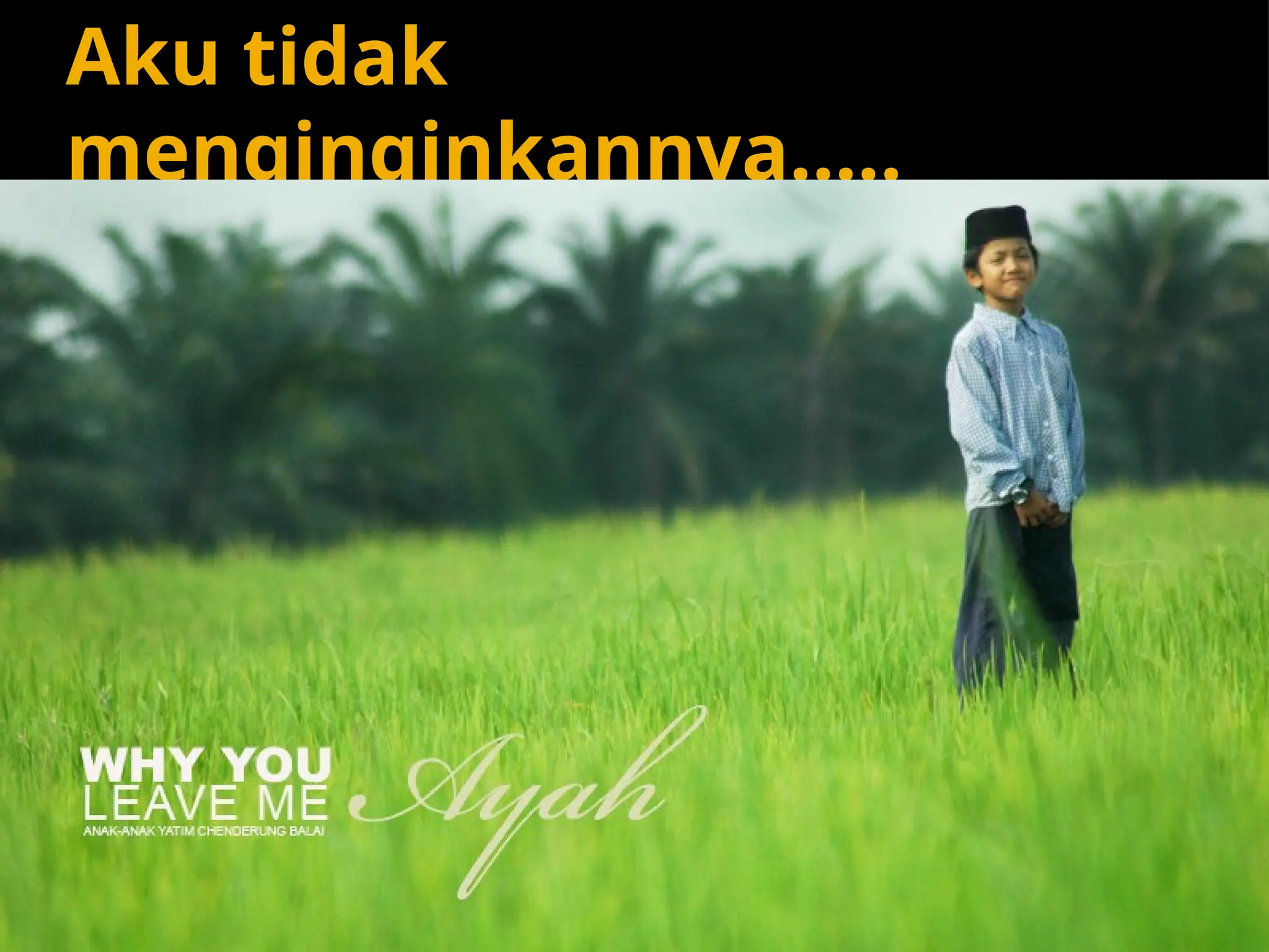 surah almaun dari ayat satu sampai selesai | PPT