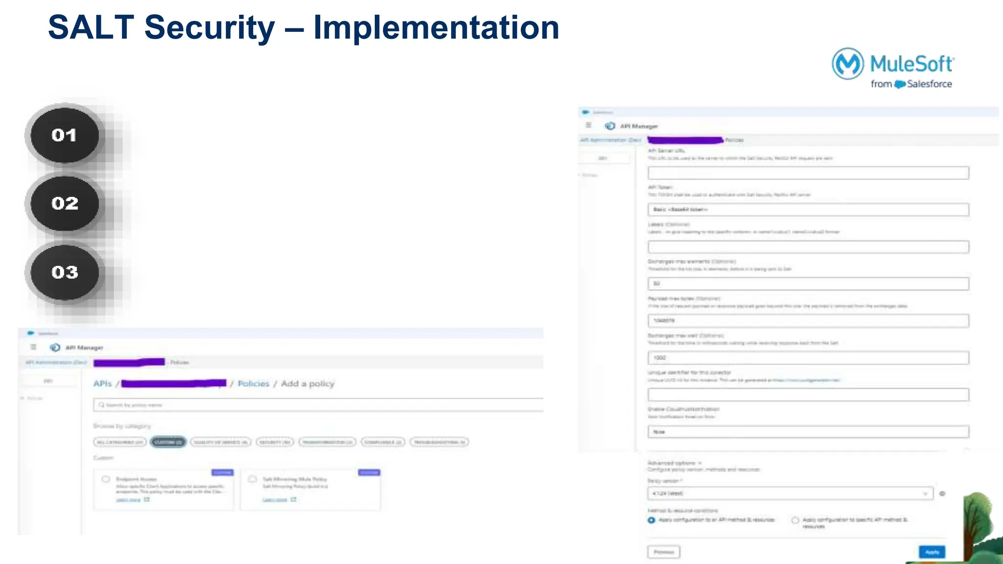 SuratMeetup-MuleSoft + Salt Security for API Security.pptx | Cloud ...