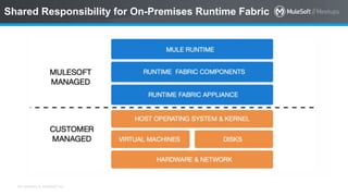 Surat MuleSoft Meetup#2 - Anypoint Runtime Fabric | PPT