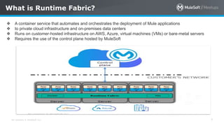 Surat MuleSoft Meetup#2 - Anypoint Runtime Fabric | PPT