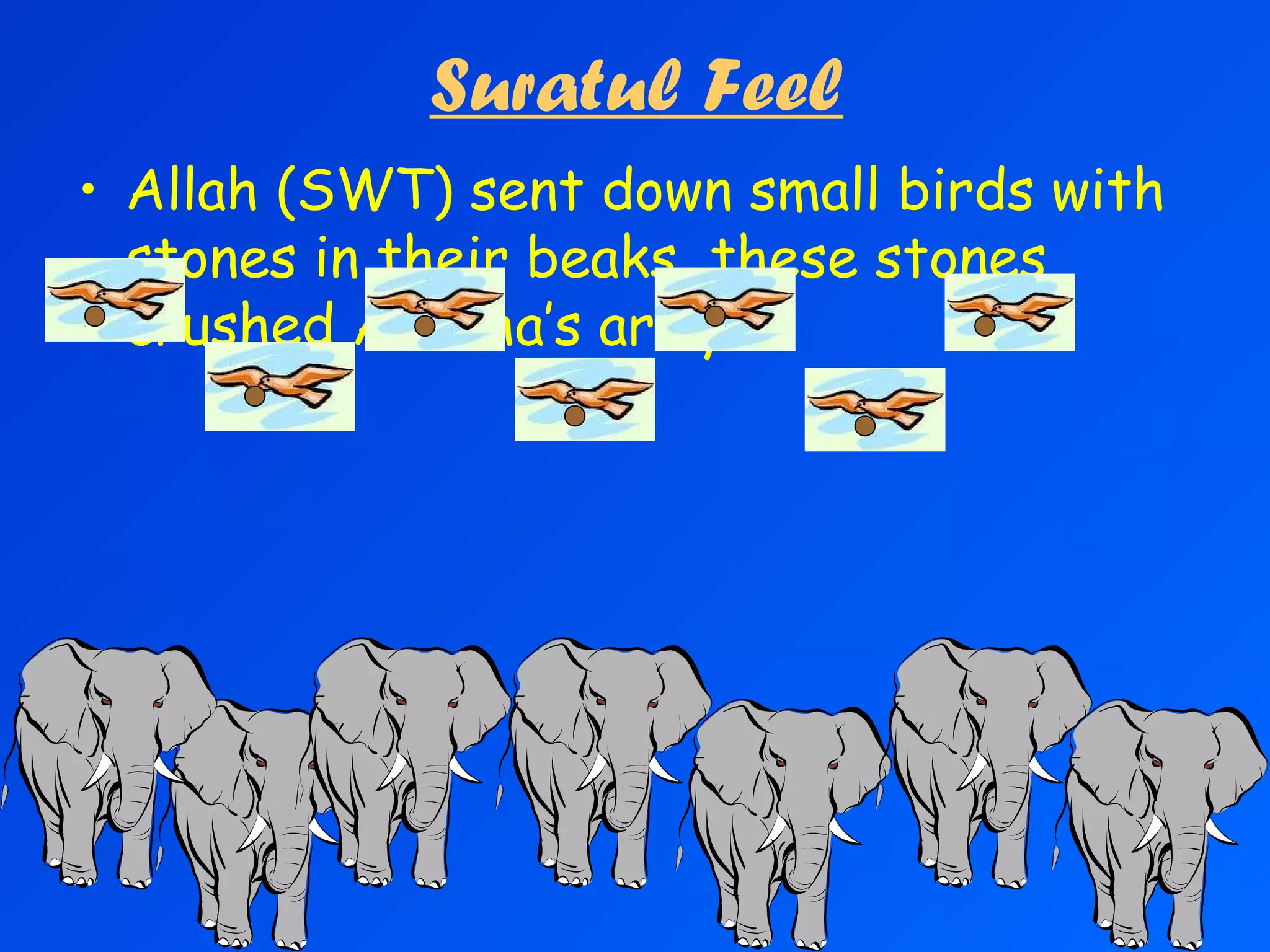 Suratul feel | PPT