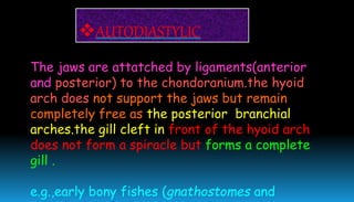 Jaw suspension | PPTX