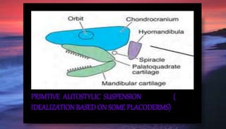 Jaw suspension | PPTX