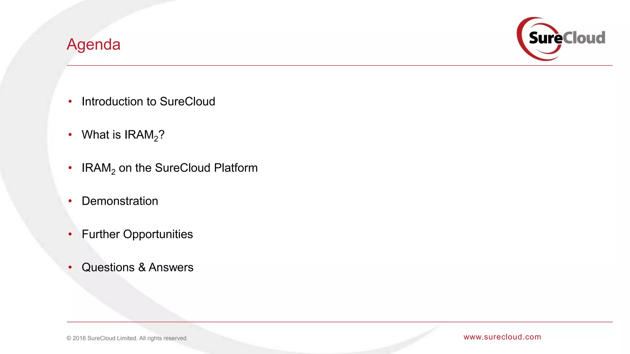 [Risk] Risk Manager for IRAM2 Application | PPT