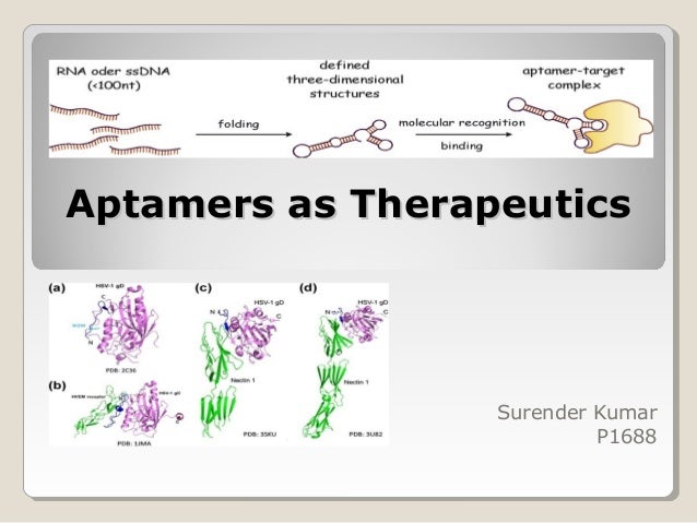 Aptamer as therapeutic
