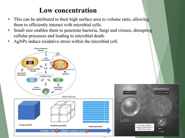 surender credit seminar.ppt silver nanoparticles | PPT