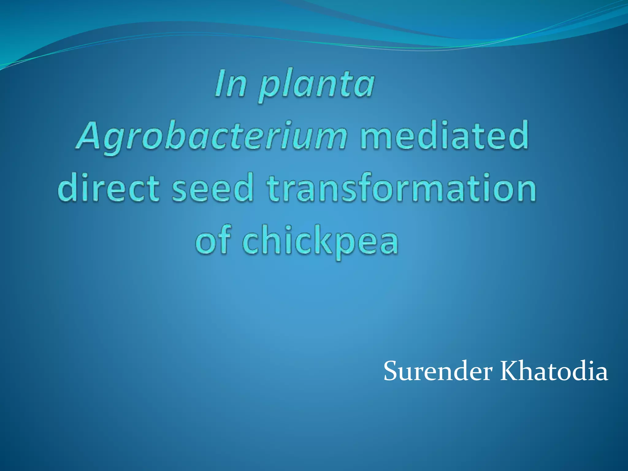 In planta Agrobacterium mediated direct seed transformation of chickpea ...