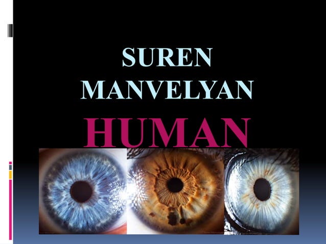 Suren Manvelyan Human Eye | PPT