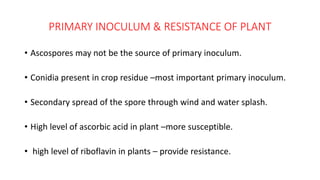 LEAF SPOT DISEASE IN GROUNDNUT | PPTX