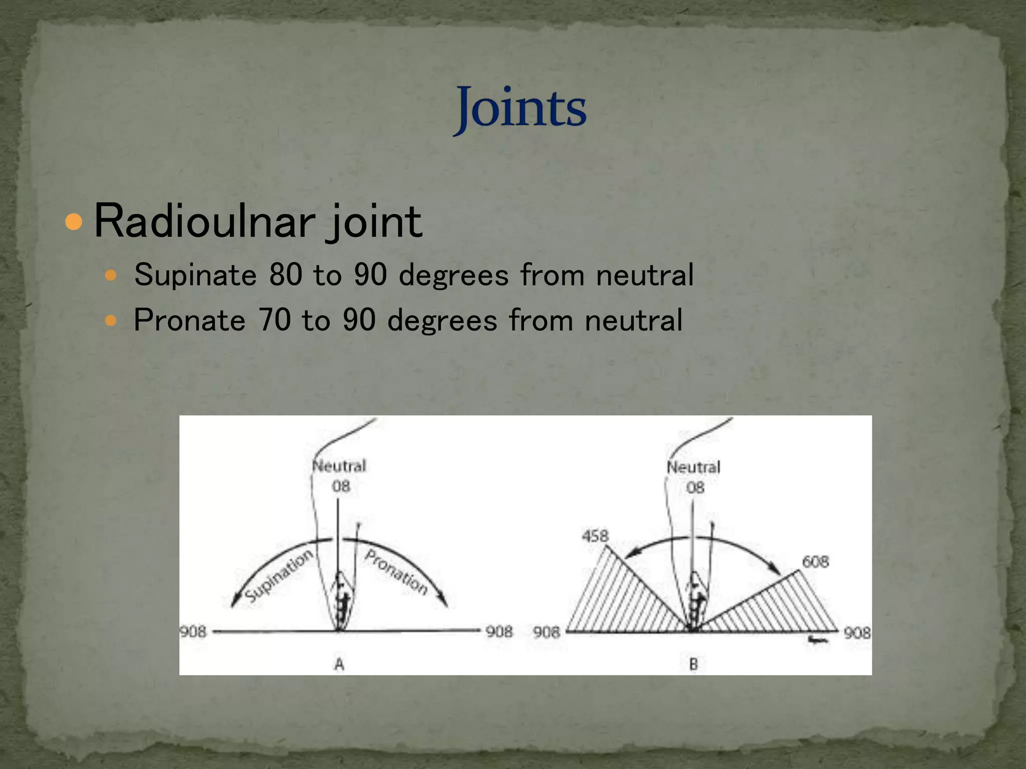 ELBOW JOINT X-RAY PROJECTIONS | PPTX