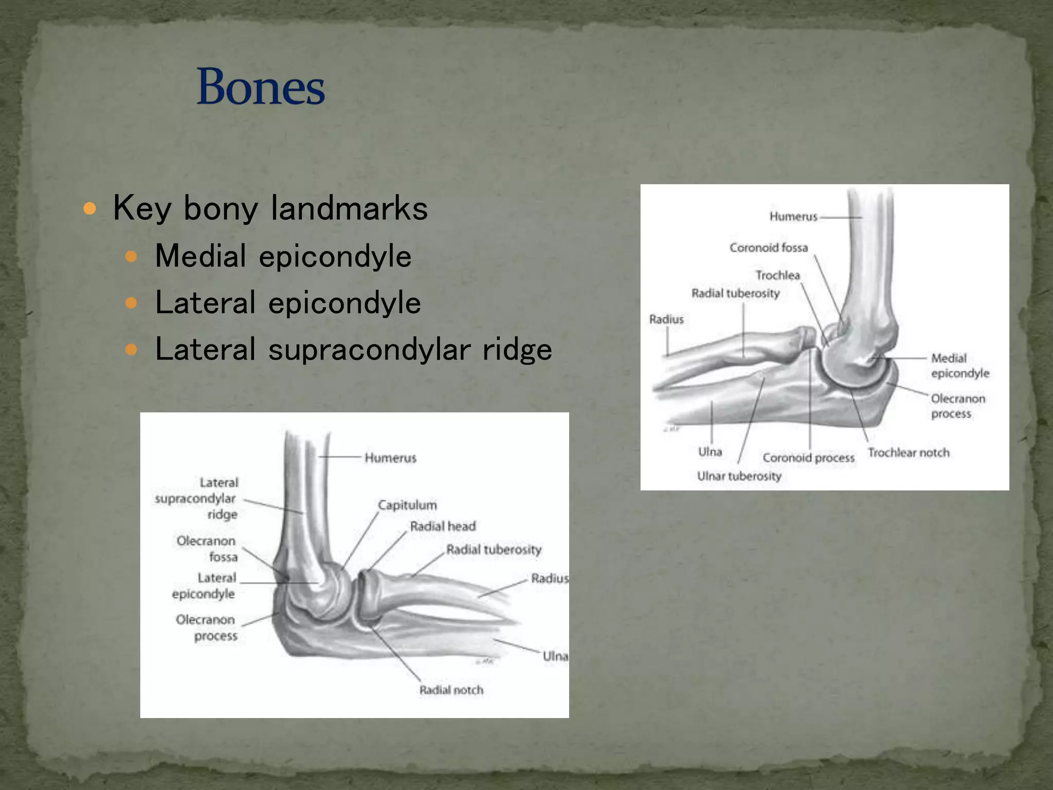 ELBOW JOINT X-RAY PROJECTIONS | PPTX