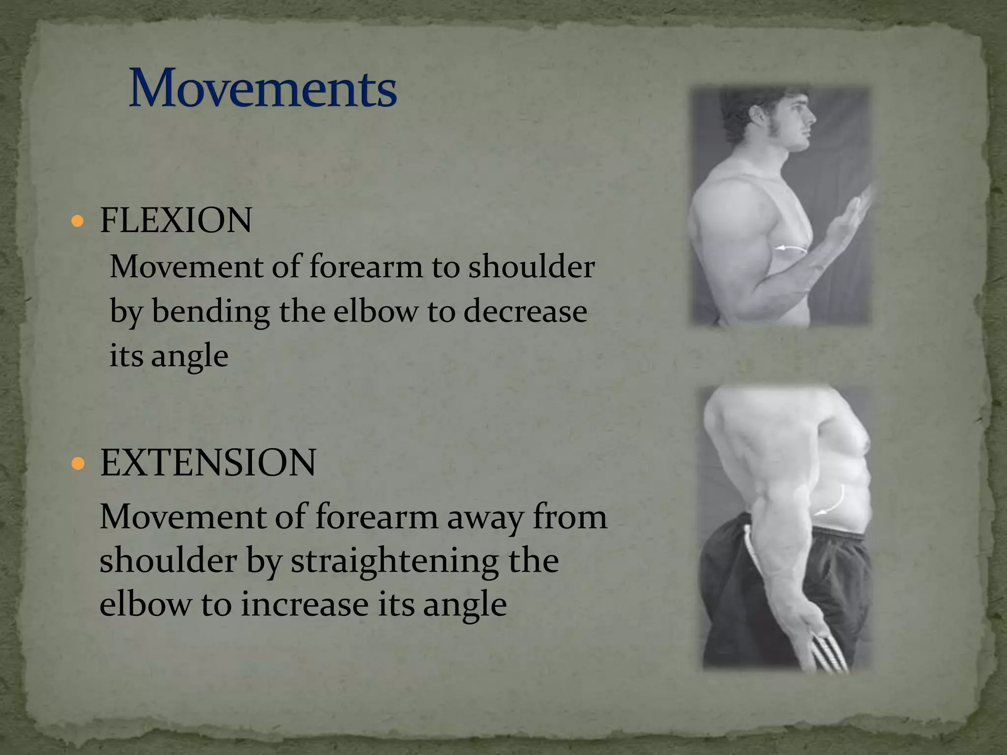 ELBOW JOINT X-RAY PROJECTIONS | PPTX