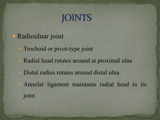 ELBOW JOINT X-RAY PROJECTIONS | PPTX