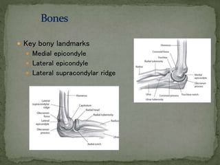 ELBOW JOINT X-RAY PROJECTIONS | PPTX