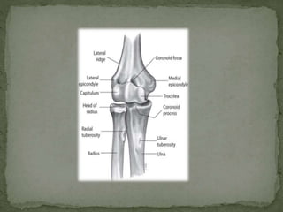 ELBOW JOINT X-RAY PROJECTIONS | PPTX