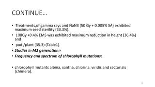 chlorophyll mutation | PPT