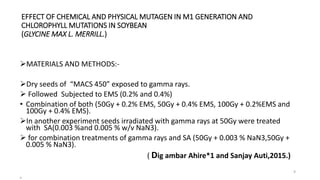 chlorophyll mutation | PPT