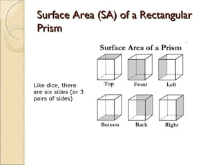 Surface Area and Volume | PPT