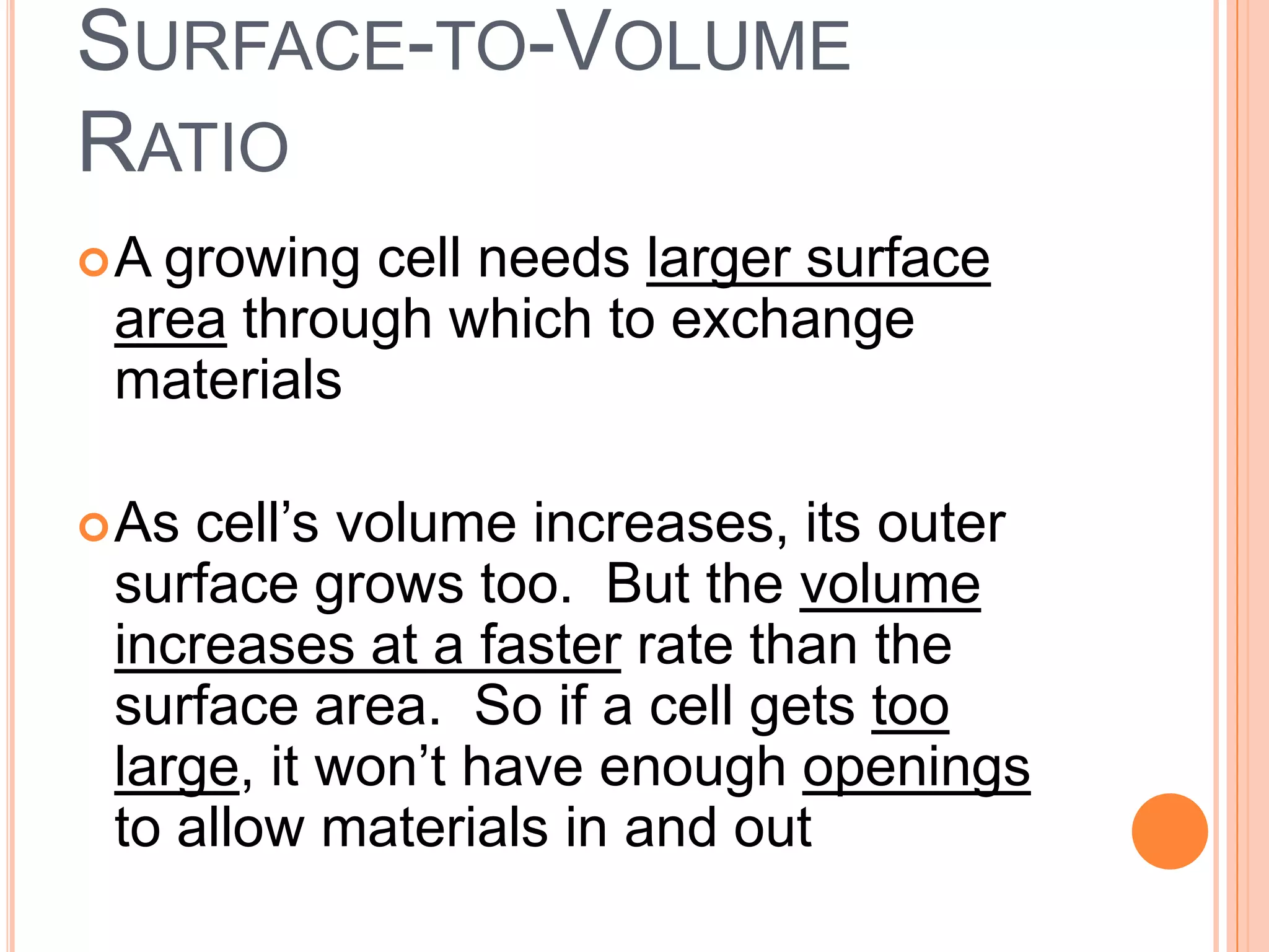 Surface Volume | PPTX