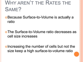 Surface Volume | PPT