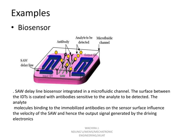 Surface acoustic waves | PPTX | Chemistry | Science