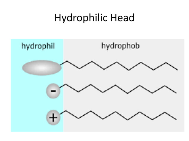 Surface active agents of latex compounding.pdf