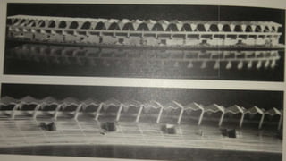 SURFACE ACTIVE STRUCTURES(structure systems) | PPTX