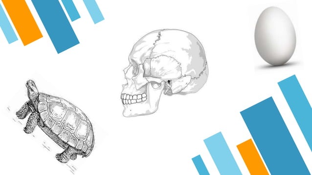 SURFACE ACTIVE STRUCTURES(structure systems) | PPTX | Physics | Science