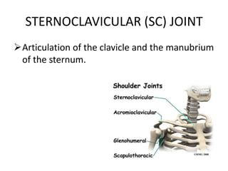 Shoulder Joint | PPTX