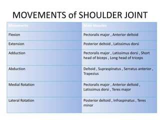 Shoulder Joint | PPTX