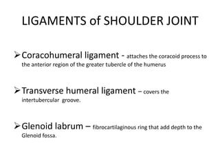 Shoulder Joint | PPTX