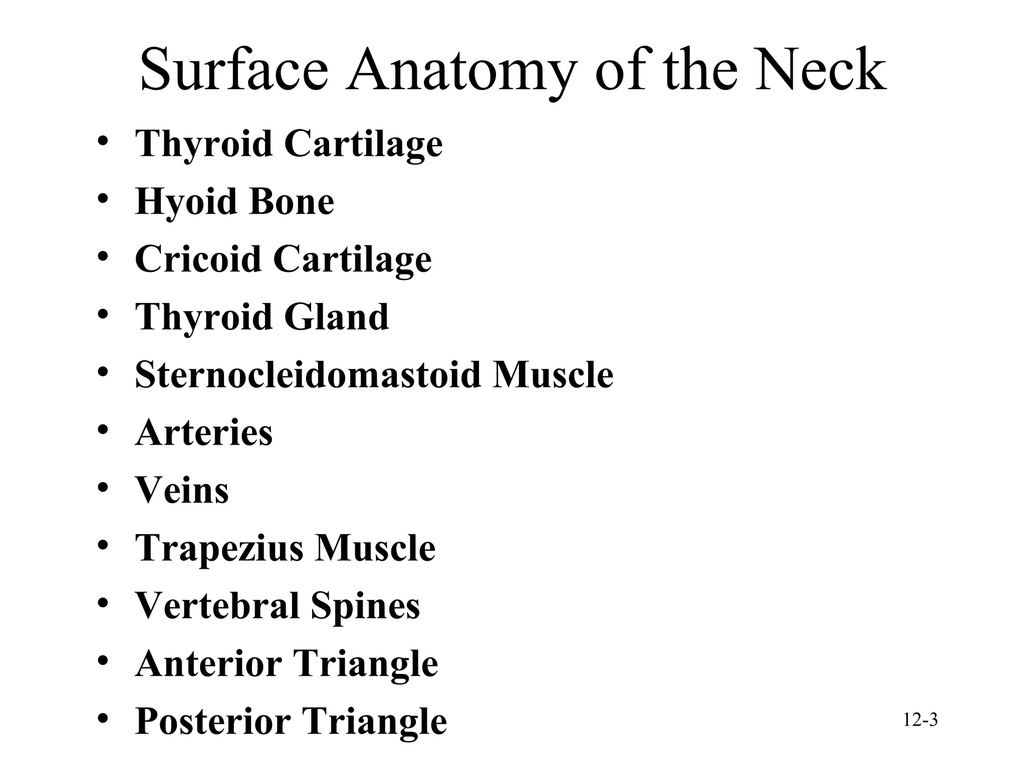 Surface anatomy | PPT