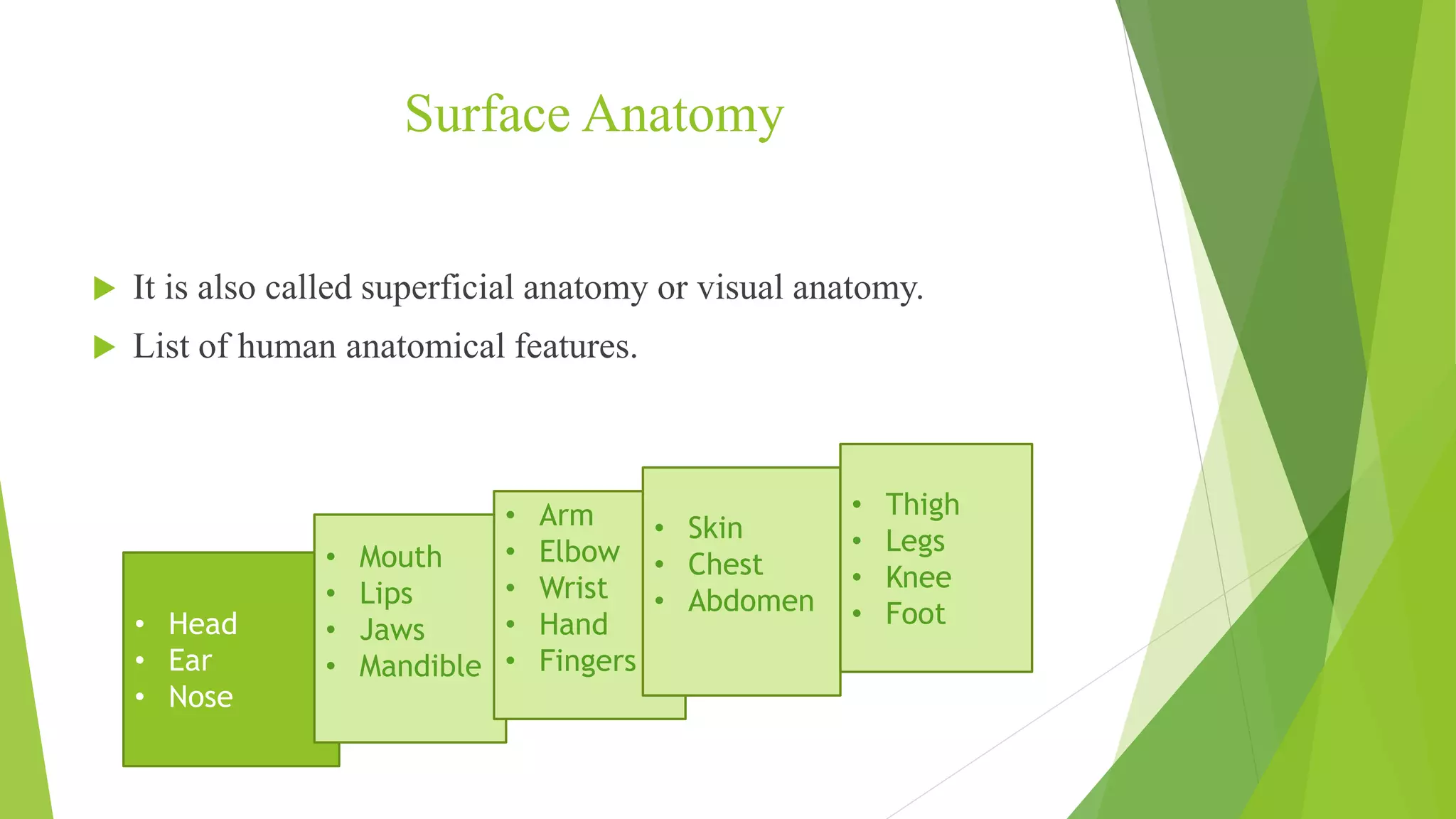Surface anatomy | PPTX
