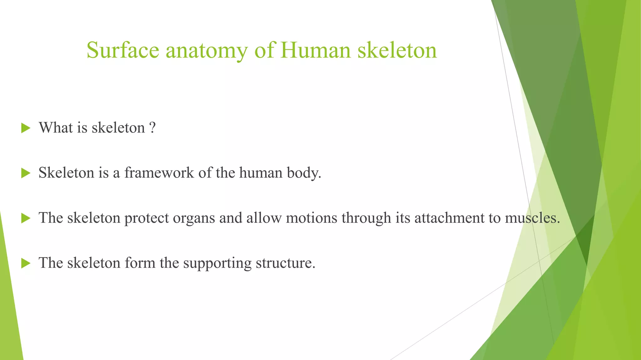 Surface anatomy | PPTX