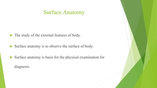 Surface anatomy | PPTX