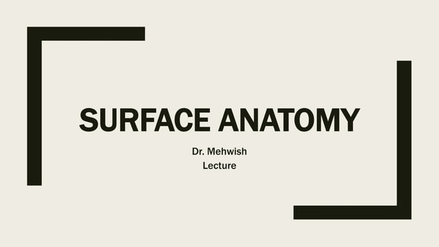 Surface anatomy | PPT